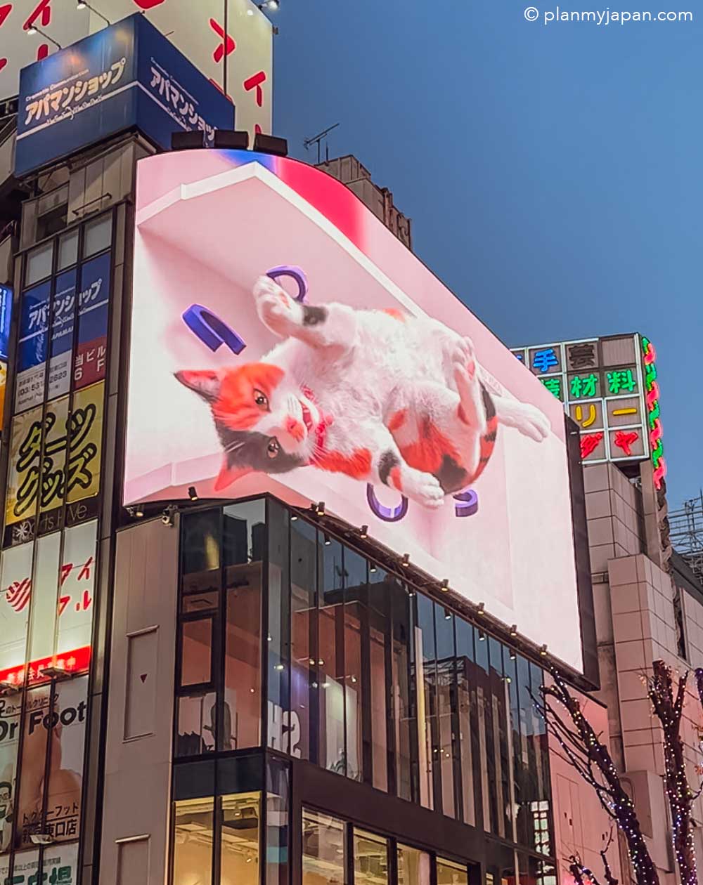 Shinjuku, Tokyo - 33 Things To Do Guide + Photos 2025 - Plan My Japan