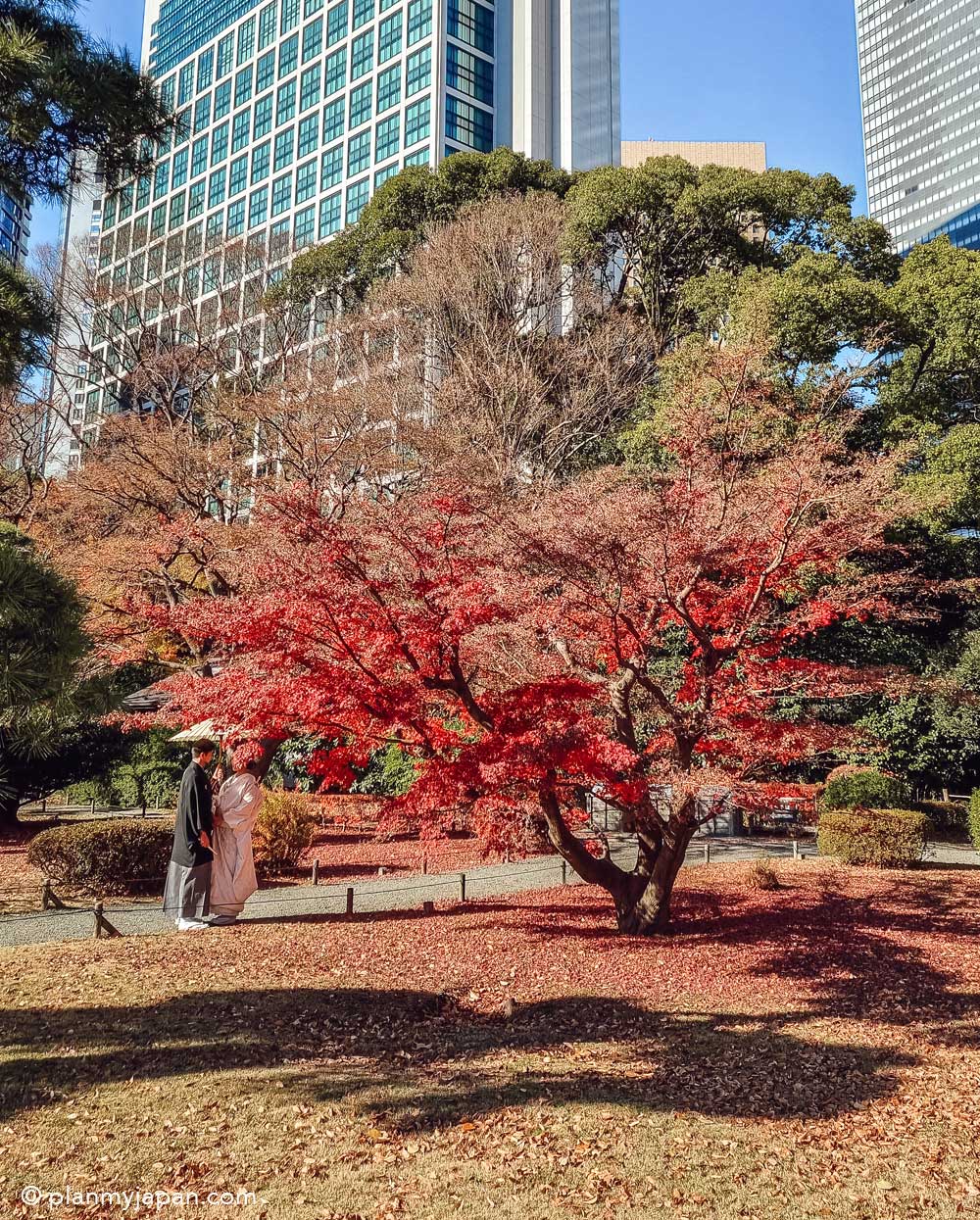 12 Top Tokyo Parks and Rooftop Gardens Guide + Photos 2025 - Plan My Japan