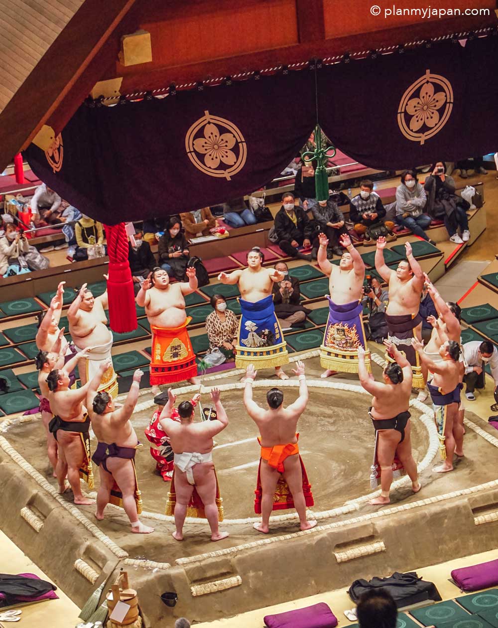 Sumo Wrestling Tokyo Tickets 2025 / 2026 Guide + Photos - Plan My Japan
