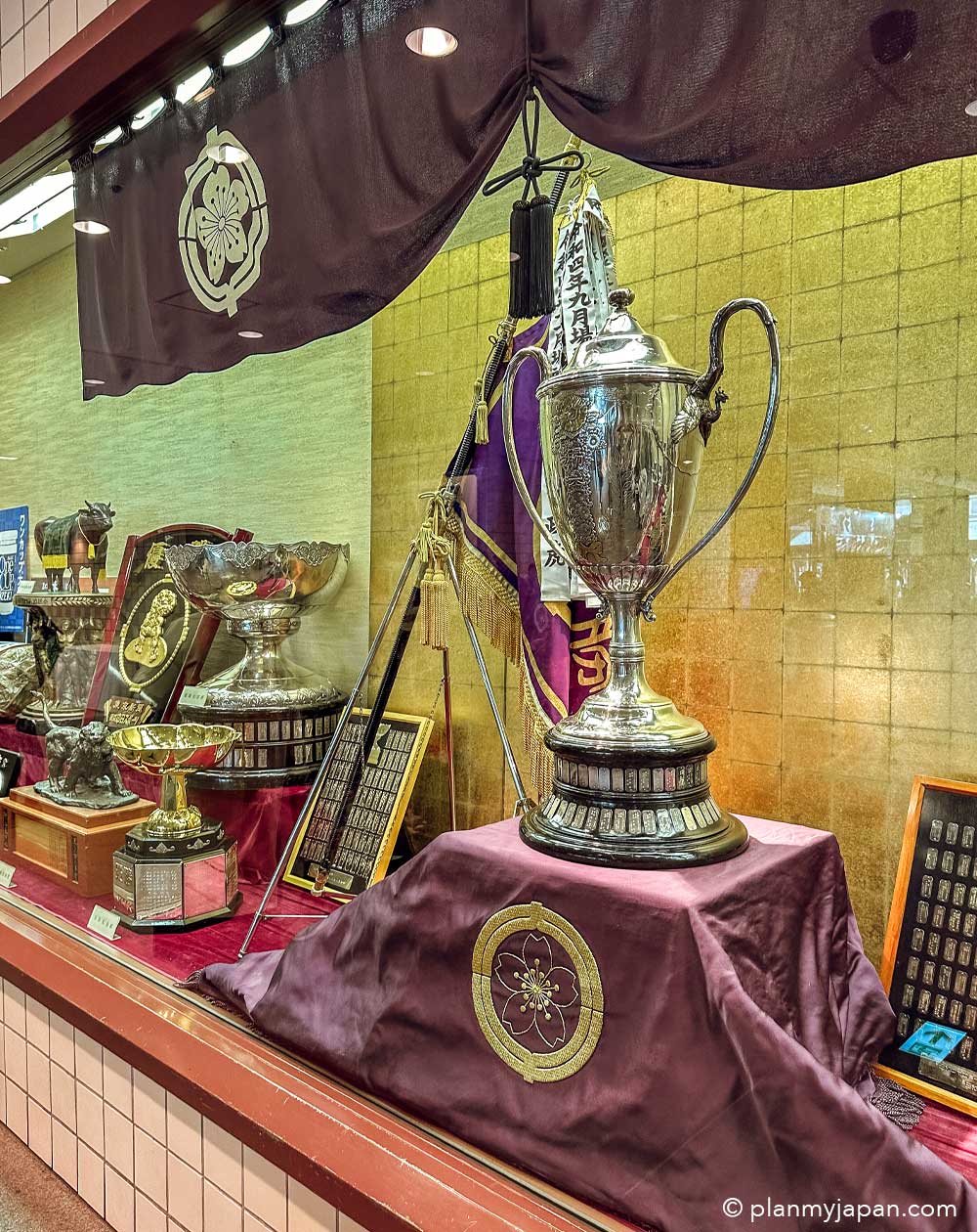 Sumo Wrestling Tokyo Tickets 2025 / 2026 Guide + Photos - Plan My Japan