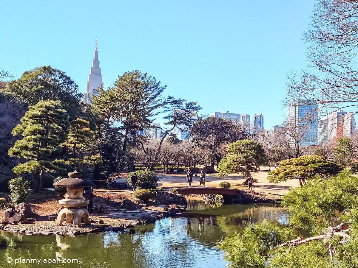 Shinjuku Gyoen National Garden in Tokyo - Guide + Photos 2024 - Plan My ...