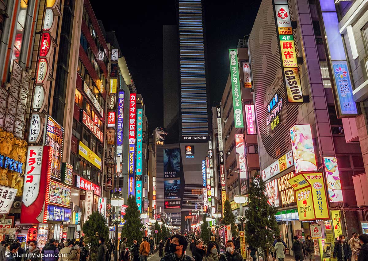 Tokyo at Night - 50+ Things To Do Guide + Photos - Plan My Japan